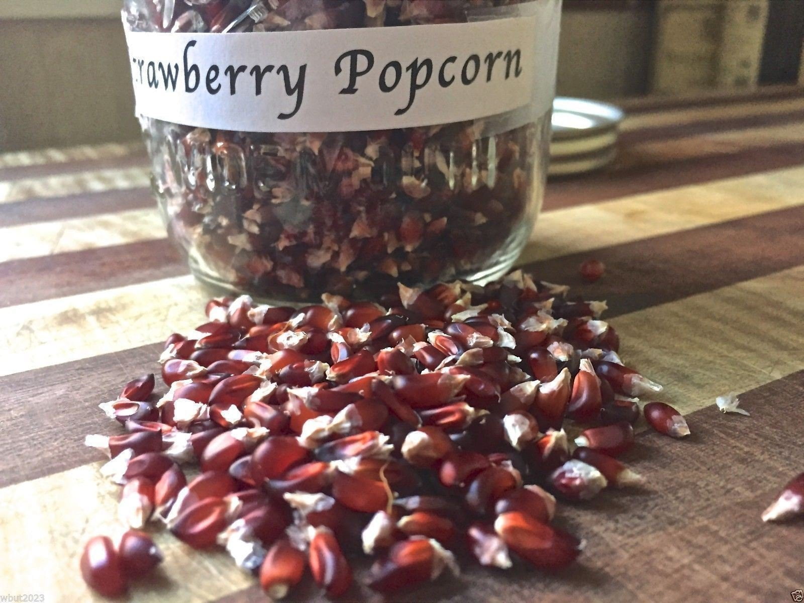 Strawberry Popcorn Corn Seeds - Grow Your own popcorn-Ornamental and ...