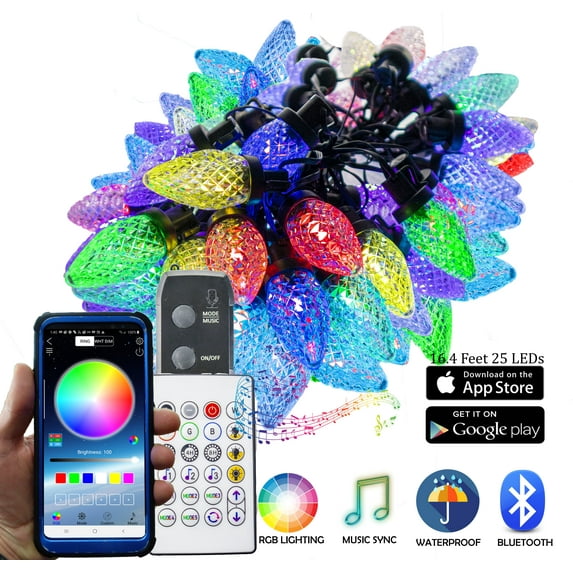 Strawberry RGB Color Changing Smart LED Bluetooth Christmas Lights ...