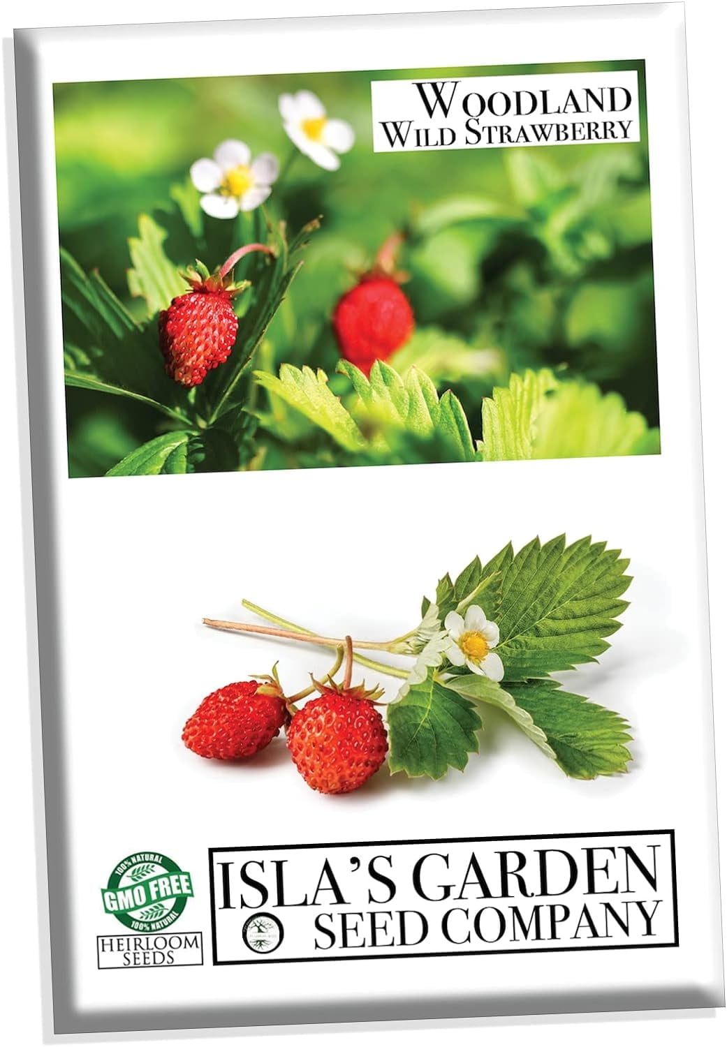 Strawberry Seeds, Woodland Wild Strawberry Fruit/Plant Seeds, 150 ...