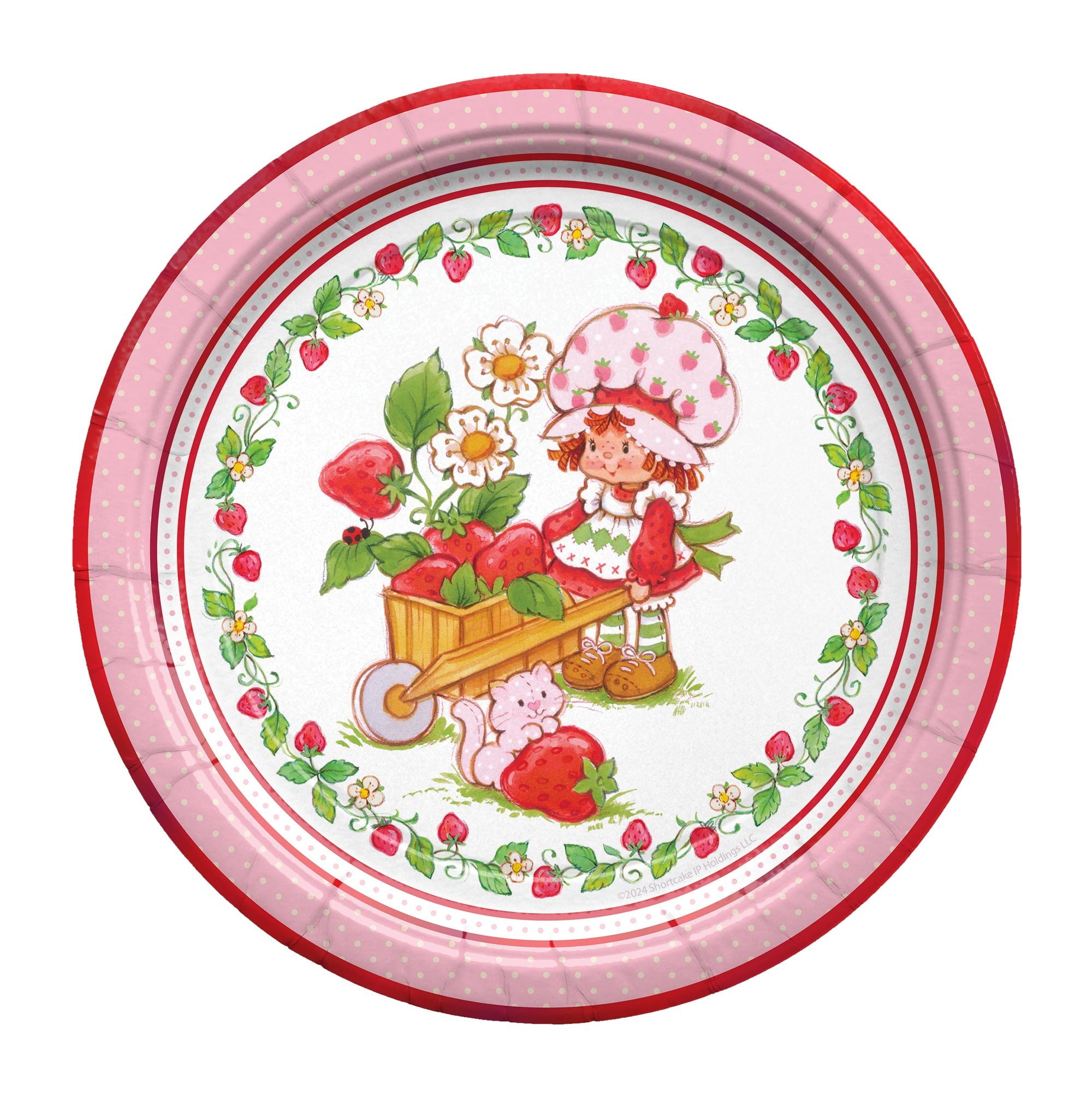 Strawberry Shortcake Plates 9in 16 Count - Strawberry Shortcake ...
