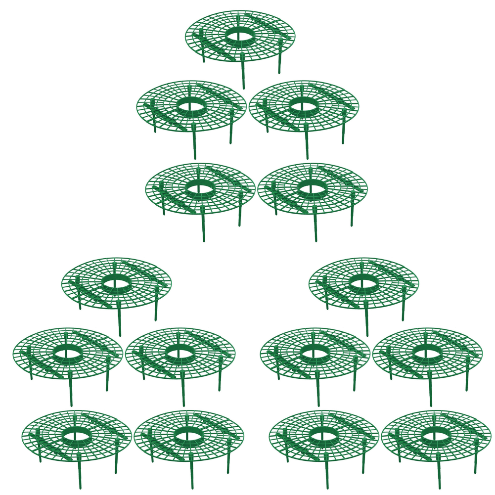 Strawberry Supports Greenhouse Garden Vegetable Fruit Growing Racks ...