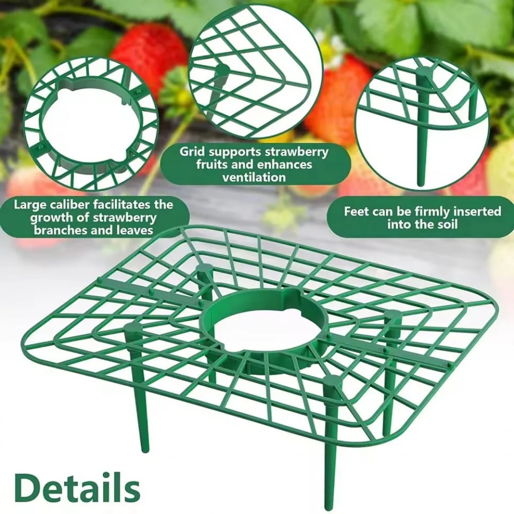 Strawberry Supports Keeping Plant Fruit Stand Vegetable Growing Rack ...