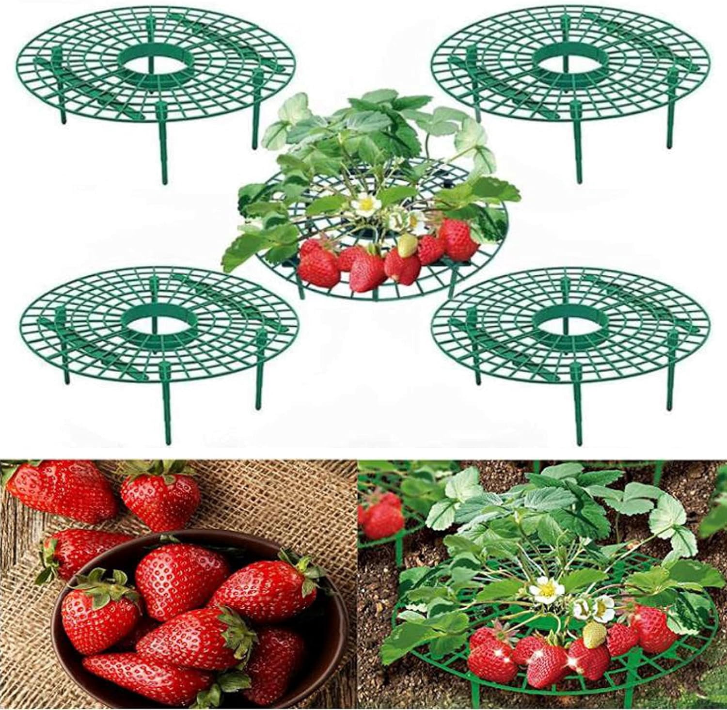 Strawberry Supports Stand Balcony Planting Rack with 4 Sturdy Legs ...