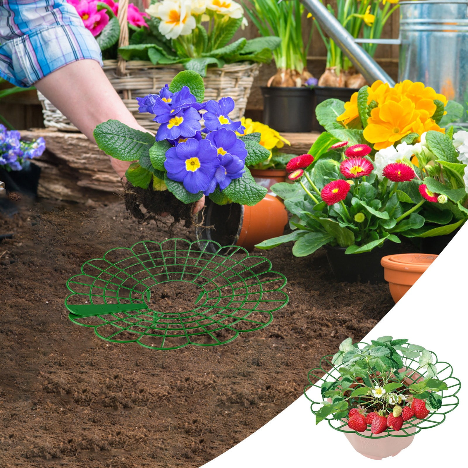 Strawberry Supports - Strawberry Plant Support Stand Strawberry Growing ...