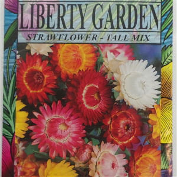 Strawflower - Tall Mix - 1 Packet - Walmart.com