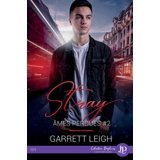 Stray, (Paperback) - Walmart.com
