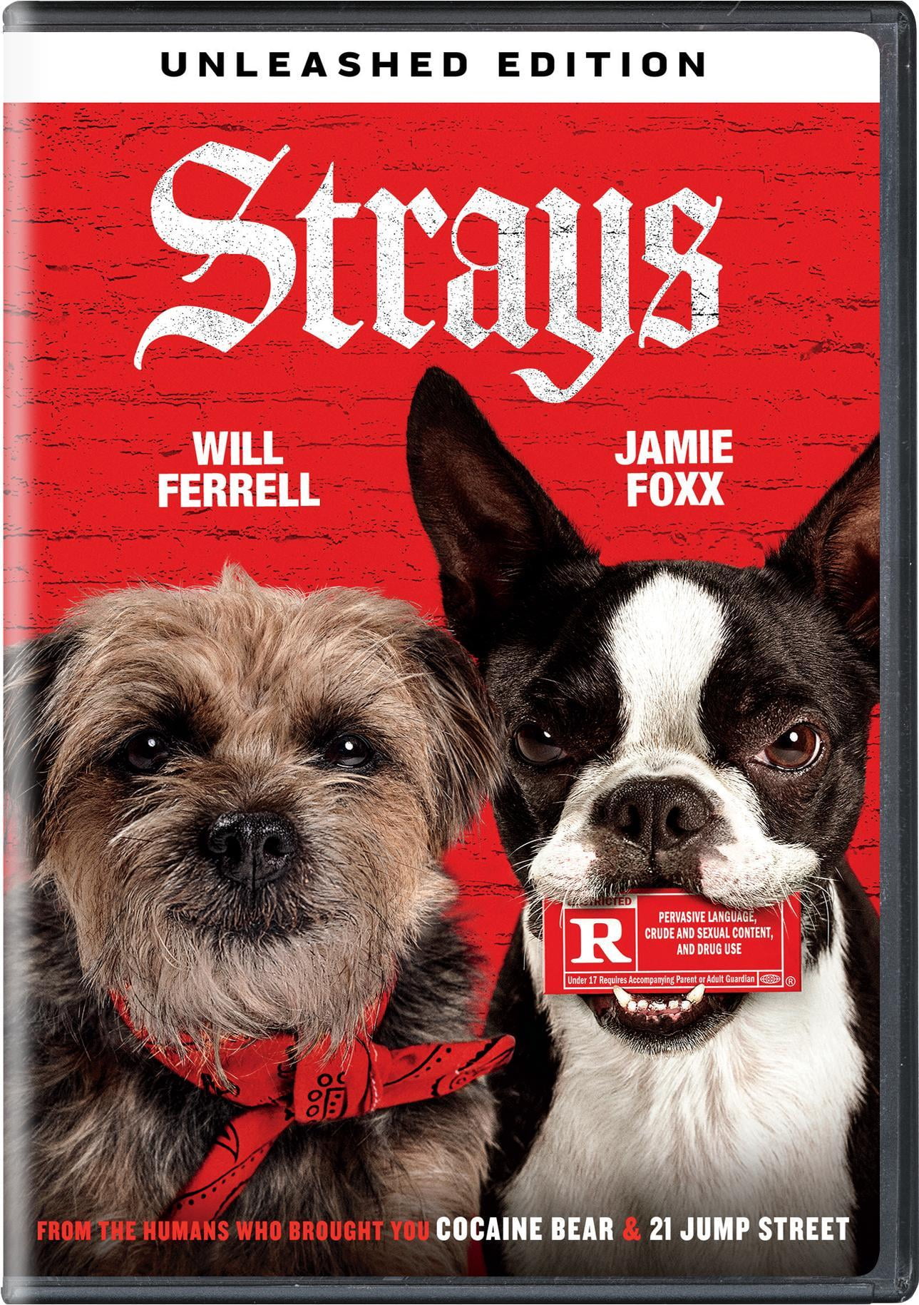 Walmart Exclusive: Strays (2023) Comedy DVD - Starring Will Ferrell ...
