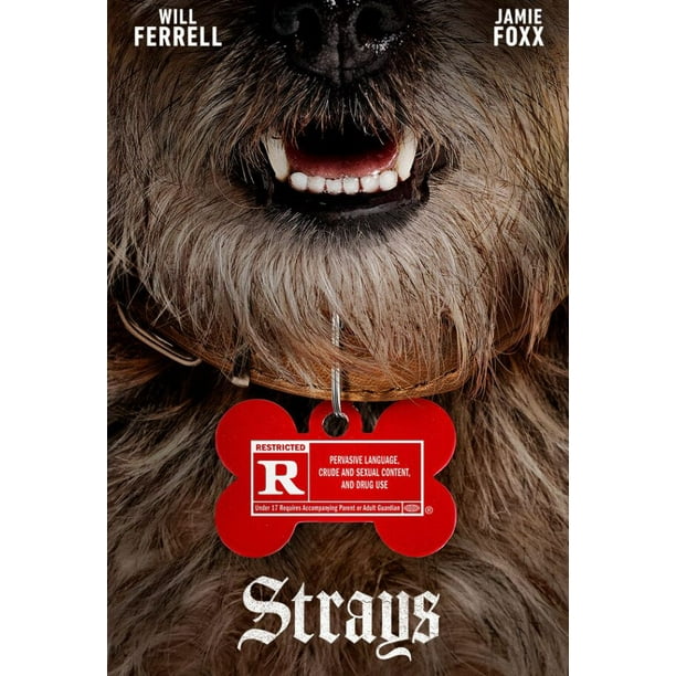 Strays (2023) (DVD) Starring Will Ferrell - Walmart.com