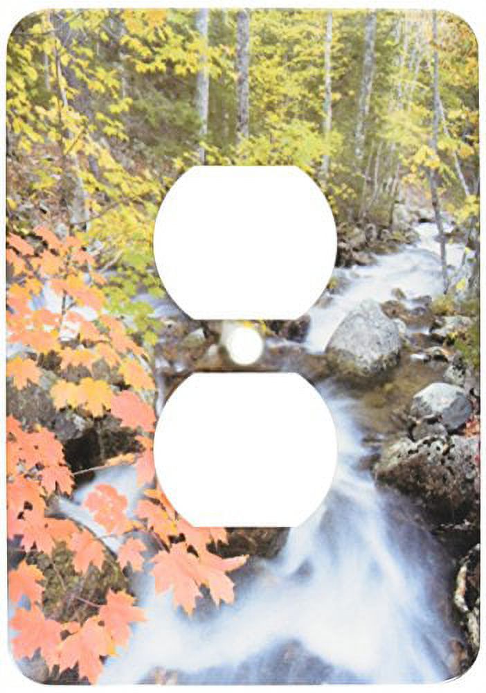 Stream, Acadia National Park, Maple forest - US20 JMO0620 - Jerry and ...