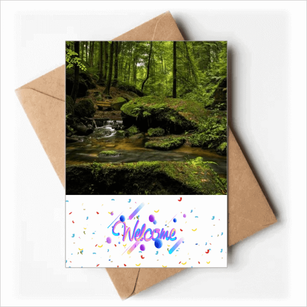 Stream Green Forestry Science Nature Scenery Welcome Back Greeting ...