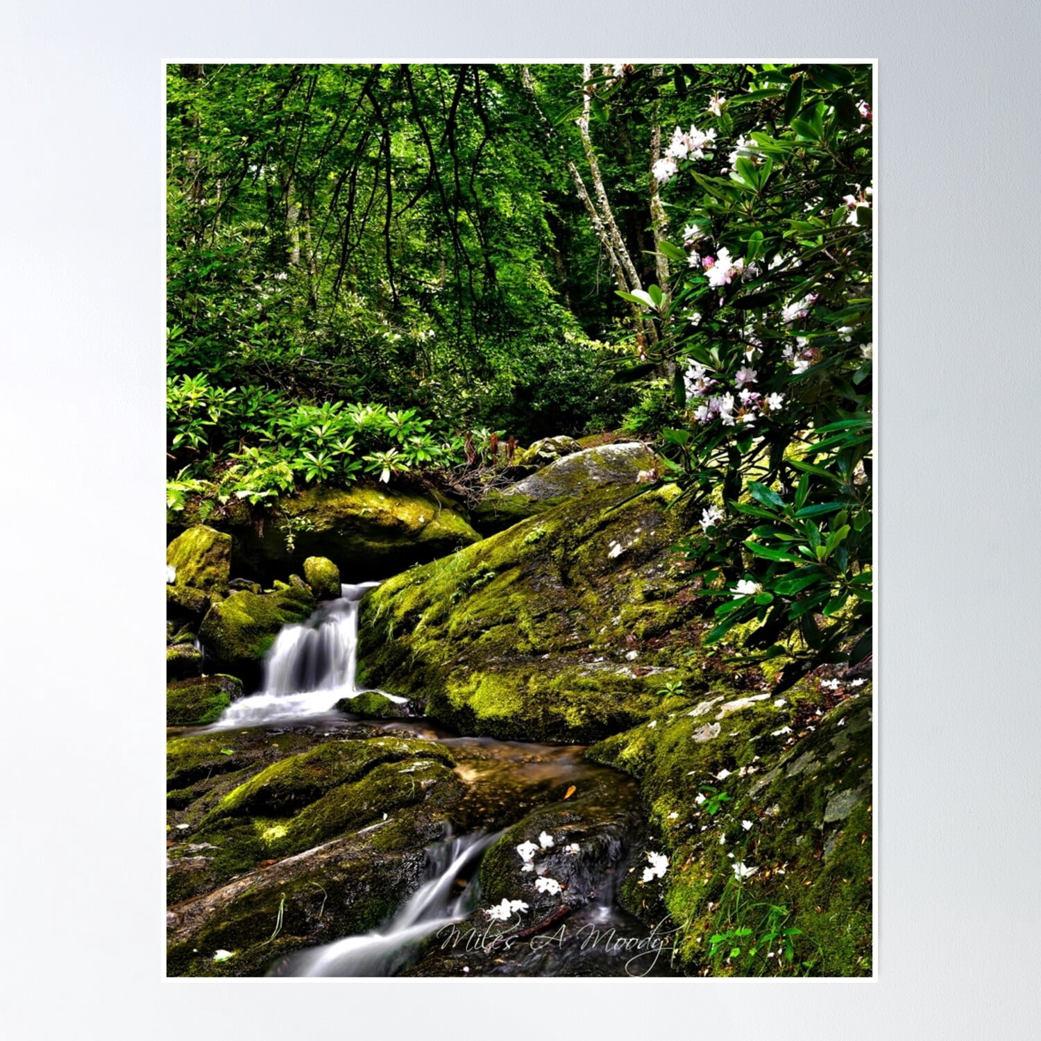 Stream Song Poster Wall Art, Modern Wall Decor, 8x12 UNFRAMED - Walmart.com