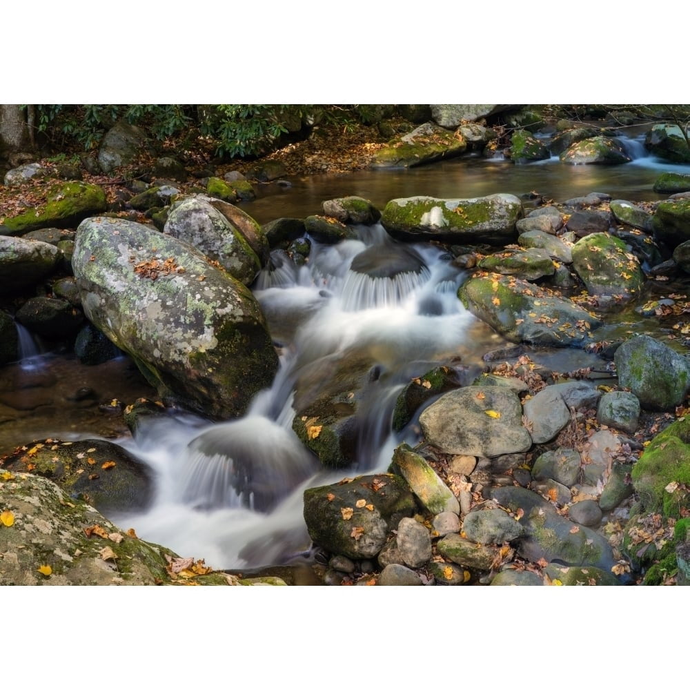 Stream flowing through rocks in a forest Roaring Fork Motor Nature ...