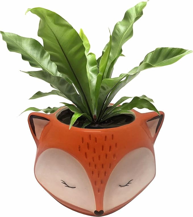 Streamline Imagined Ceramic Orange Fox Planter - Walmart.com