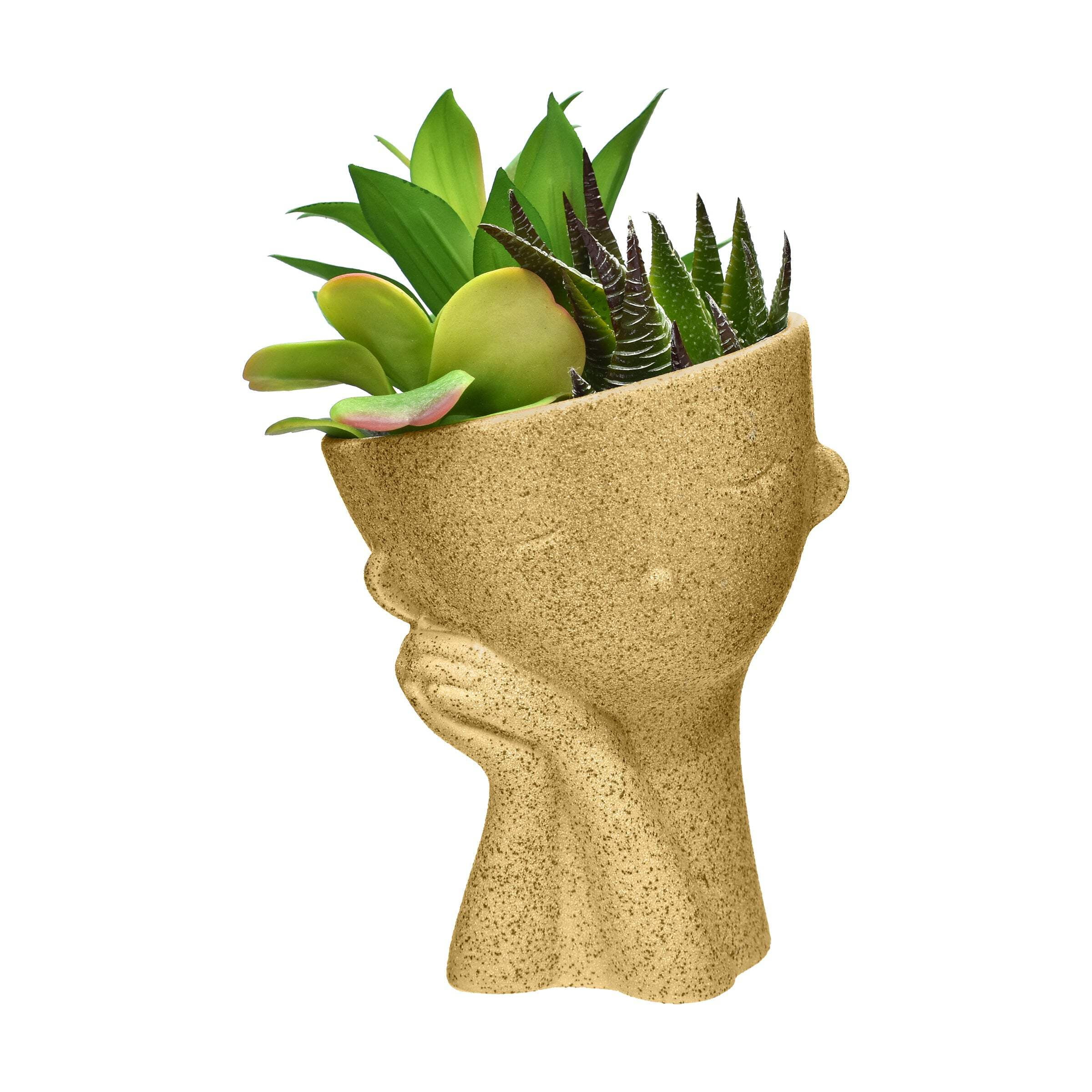 Streamline Imagined Endearing Face Planter - Walmart.com