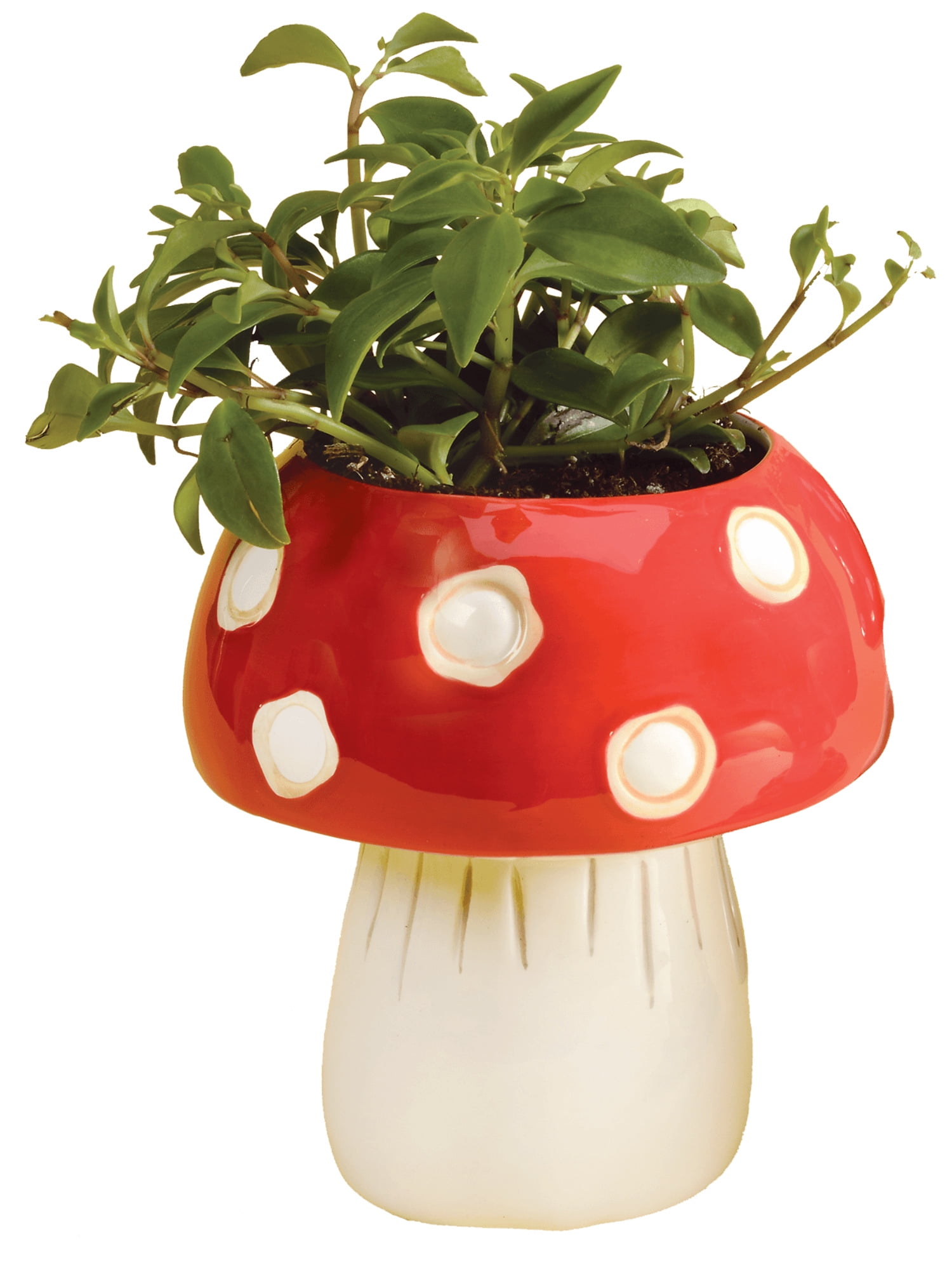 Streamline Imagined Medium Mushroom Planter, Red, White - Walmart.com