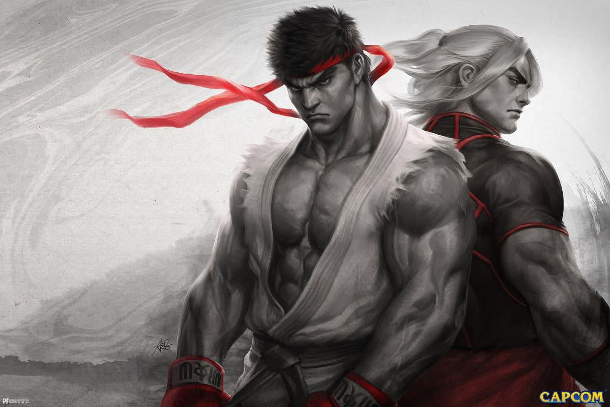 Street Fighter Ryu Ken Art CAPCOM Video Game Merchandise Gamer Classic ...