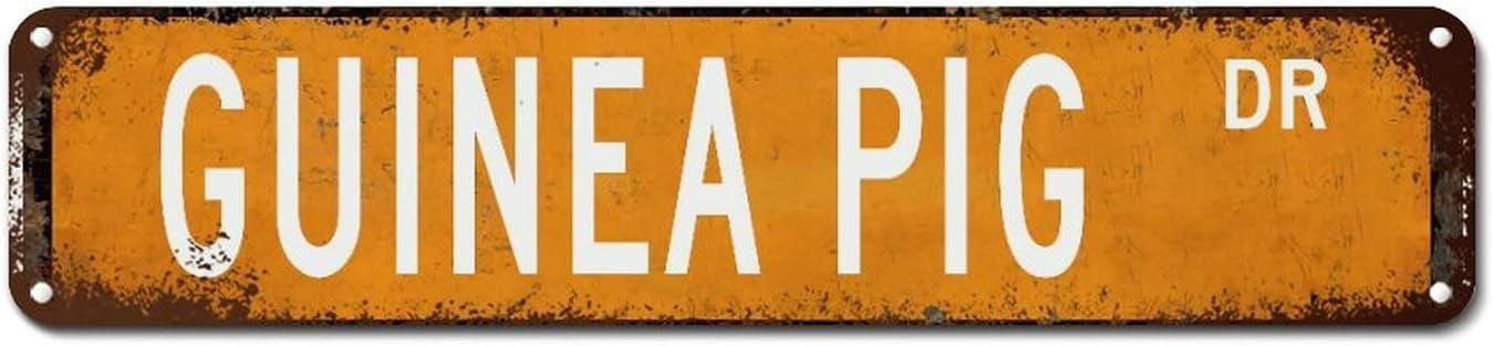 Street Sign Guinea Pig Metal Sign Guinea Pig Decor Aluminum Sign Animal ...