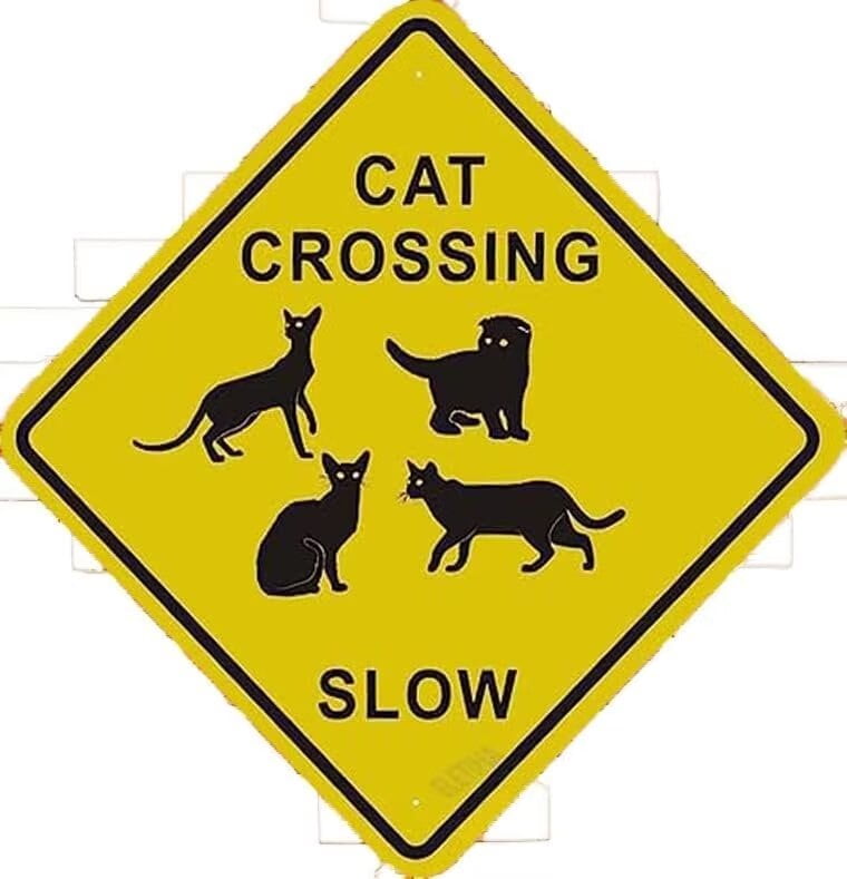 Street Sign Wall Art Plaque Cat Xing Crossing Sign Yard Decoration ...