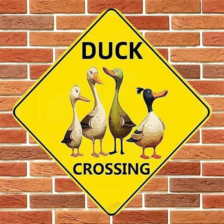Street Sign Wall Art Plaque Duck Crossing Signs, Duck Pond Sign for ...