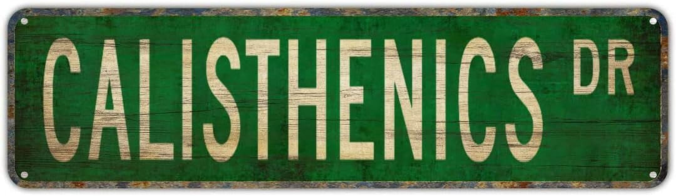 Street sign Calisthenics Calisthenics Gift Calisthenics Sign Road Signs ...