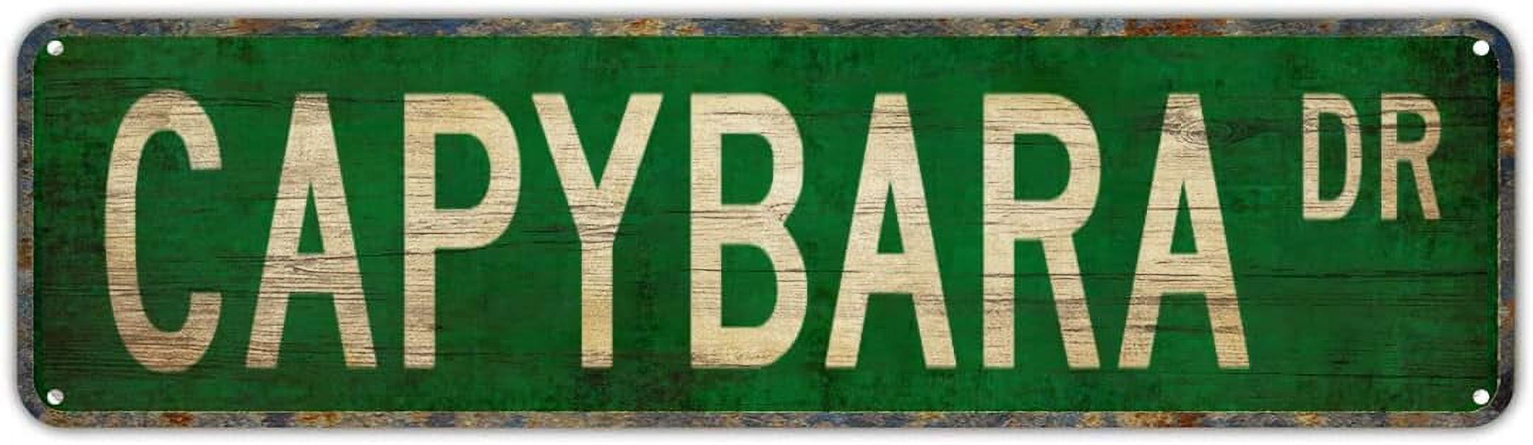 Street sign Capybara Capybara Gift Capybara Sign Capybara Decor Street ...