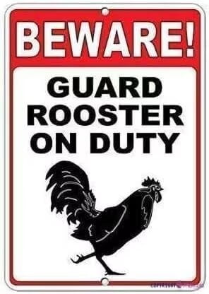 Street sign warning plaque Beware! Guard Rooster On Duty Funny Quote ...