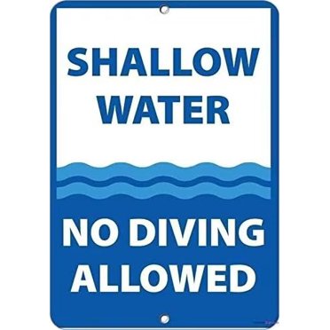 Vintage Flamingo Pool Rule Sign, Funny Swimming Pool Decor, Aluminum ...