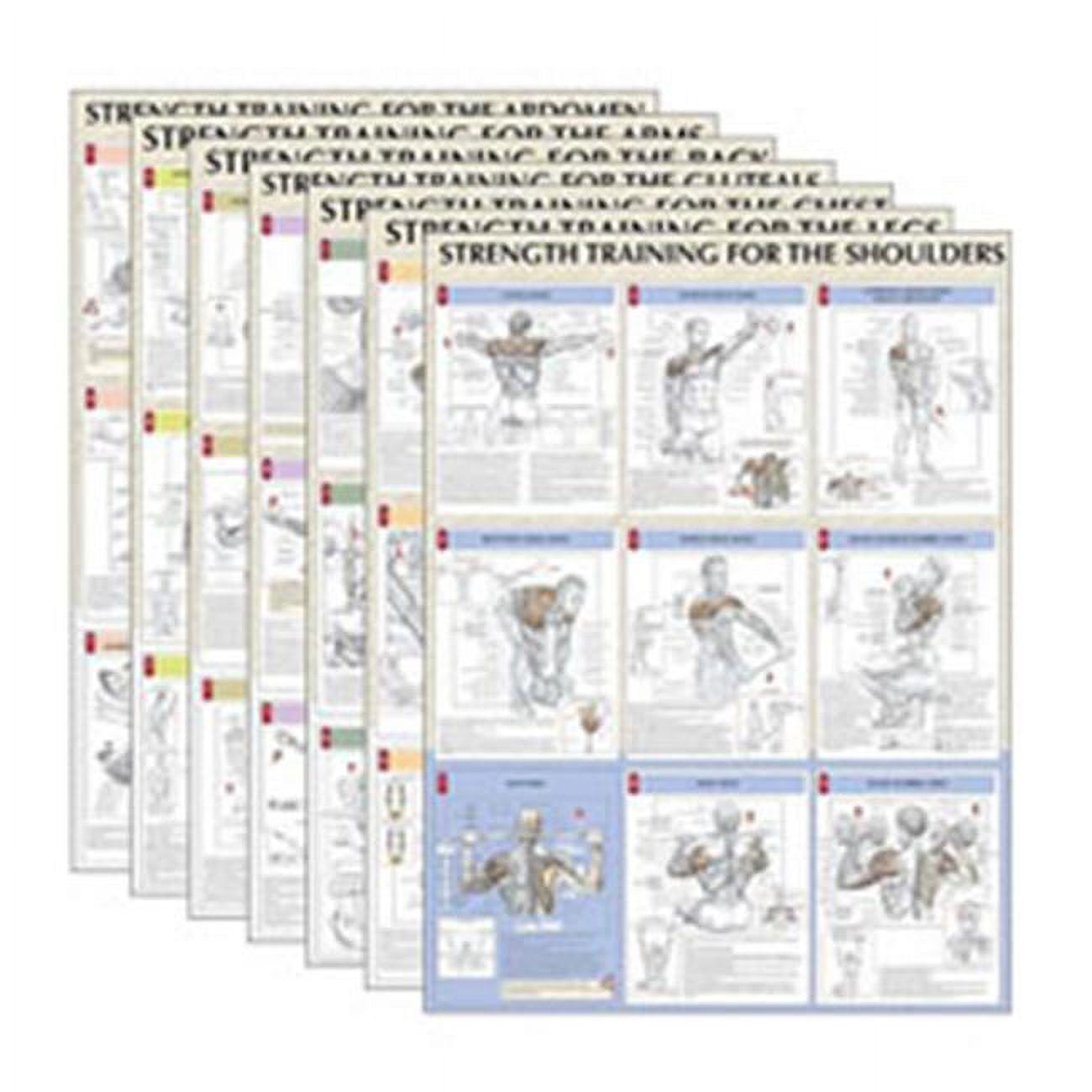 Strength Training Anatomy Poster Series Buttocks - Walmart.com