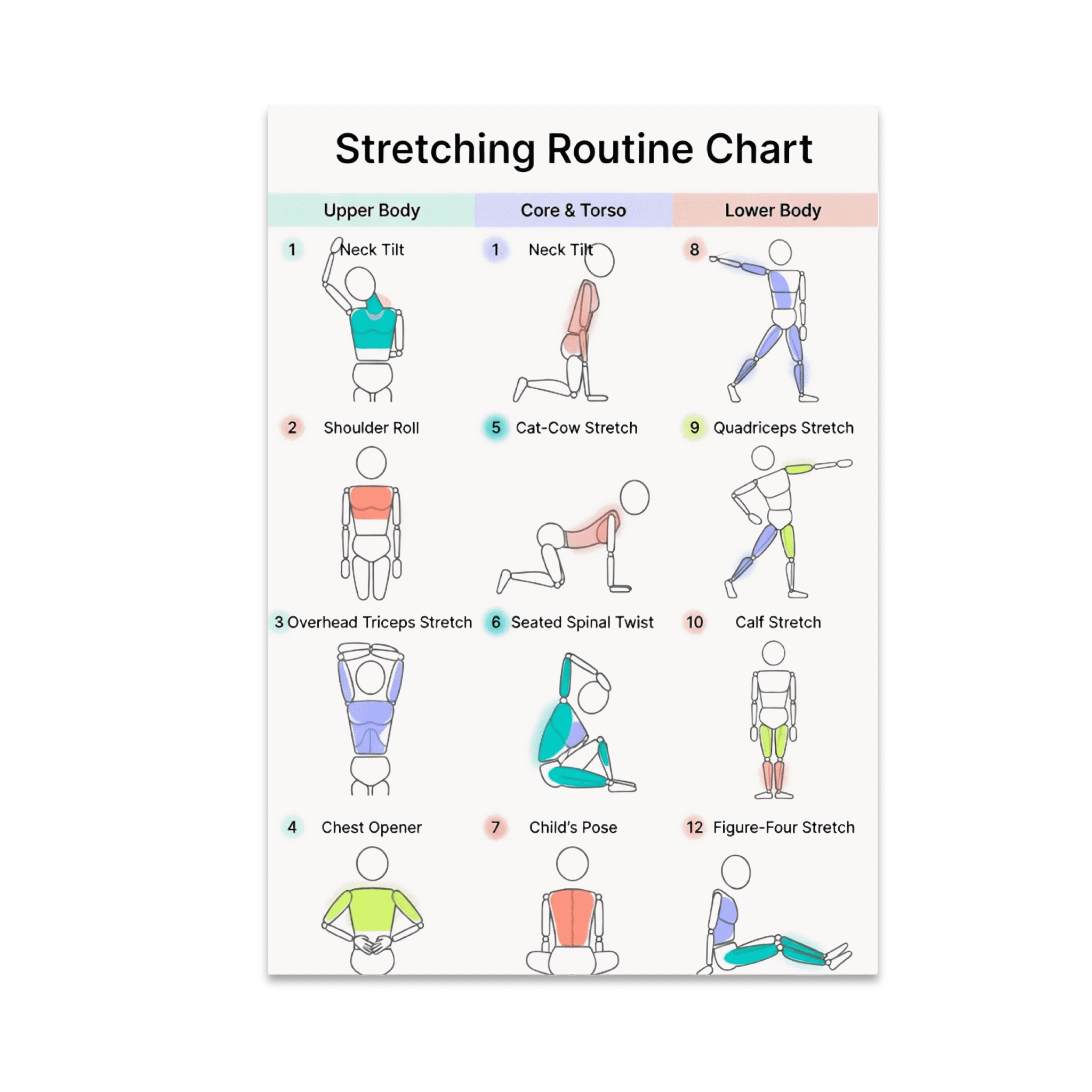 Stretching Routine Chart - Fitness Enthusiast - 13x19 Poster Print ...