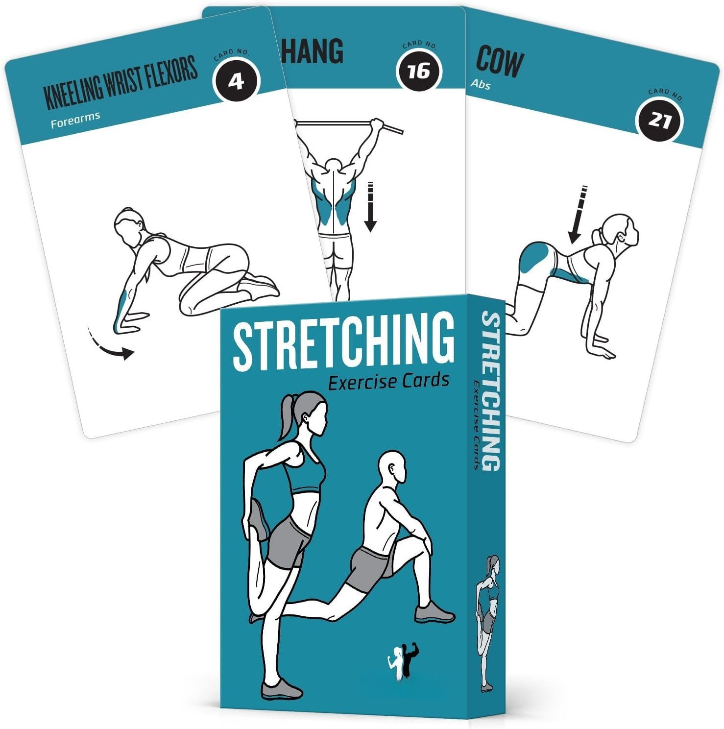 Stretching Workout Cards, Instructional Deck for Women & Men, Beginner ...