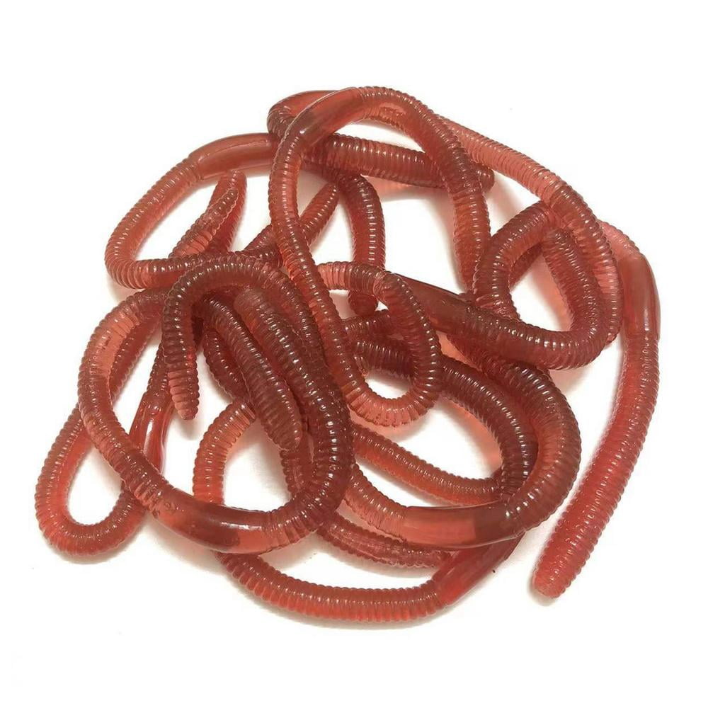 Stretchy Earthworms Realistic Earthworms Flexible 10pcs Stretchy ...