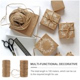 SASABAXI Thick Jute Twine String Rope Jute Color 2 Rolls 10000x0.02x0 ...
