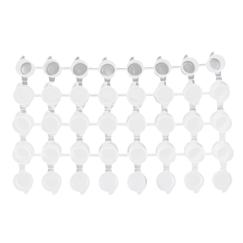 Stri 20pcs 3ml 8-in-1 Pigment Empty Box Oil Paint Strip Box Clear Pigment Container Pin Mini ...