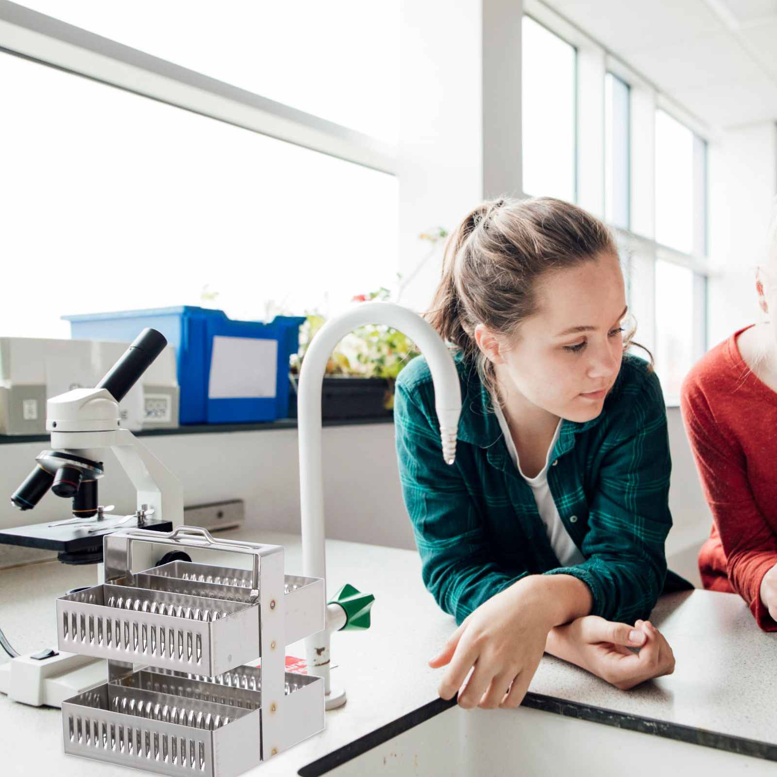 Stri Glass Slides Rack Stainless Staining Rack 30 Positions Microscope ...