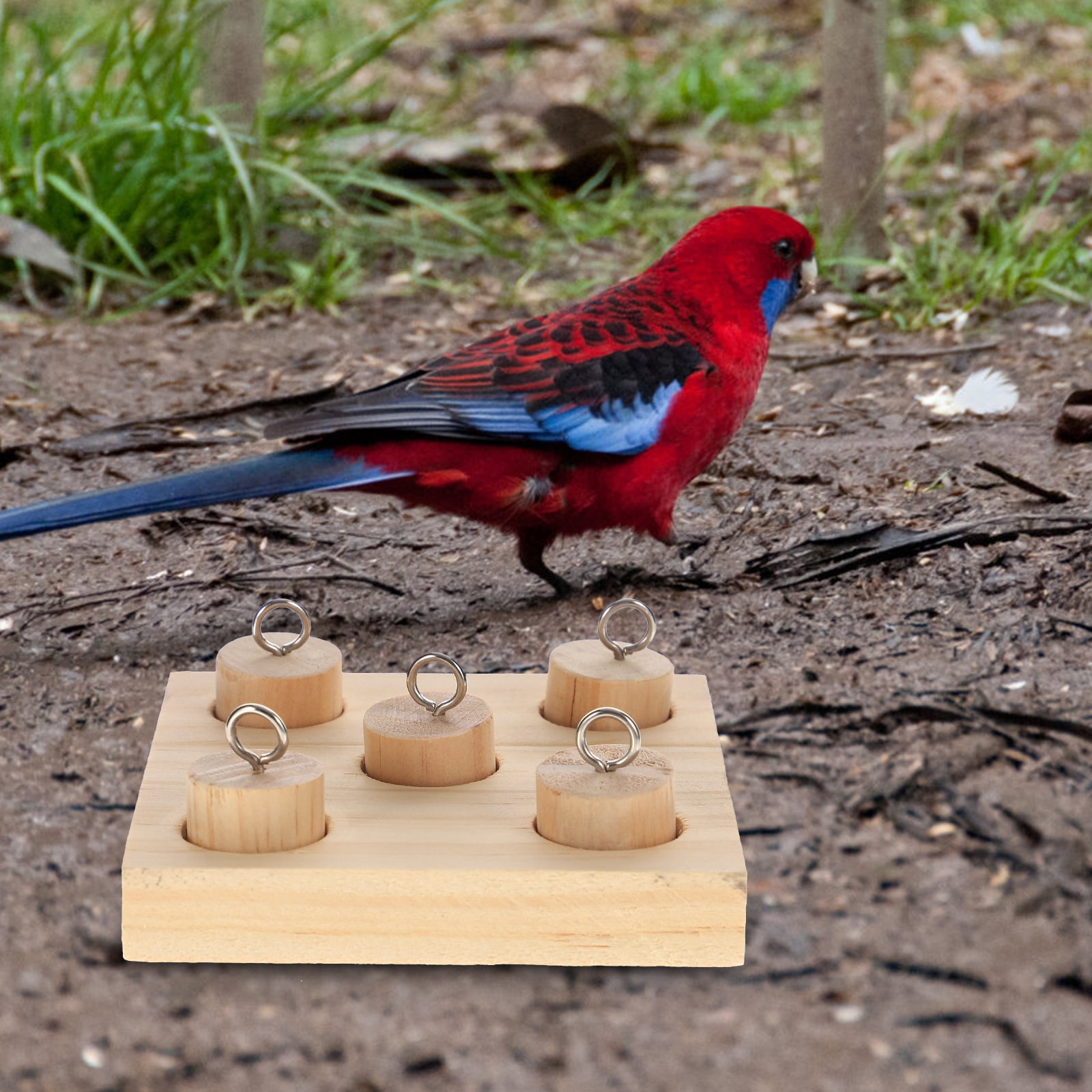 Stri Household Conure Toy Wear-resistant Parakeet Toy Interactive ...