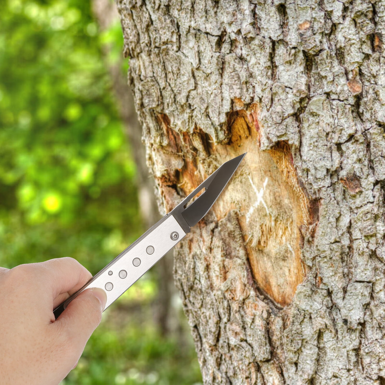 SASABAXI Gardening Scarping Tool Professional Bark Scraper 1Set 6.3x1 ...