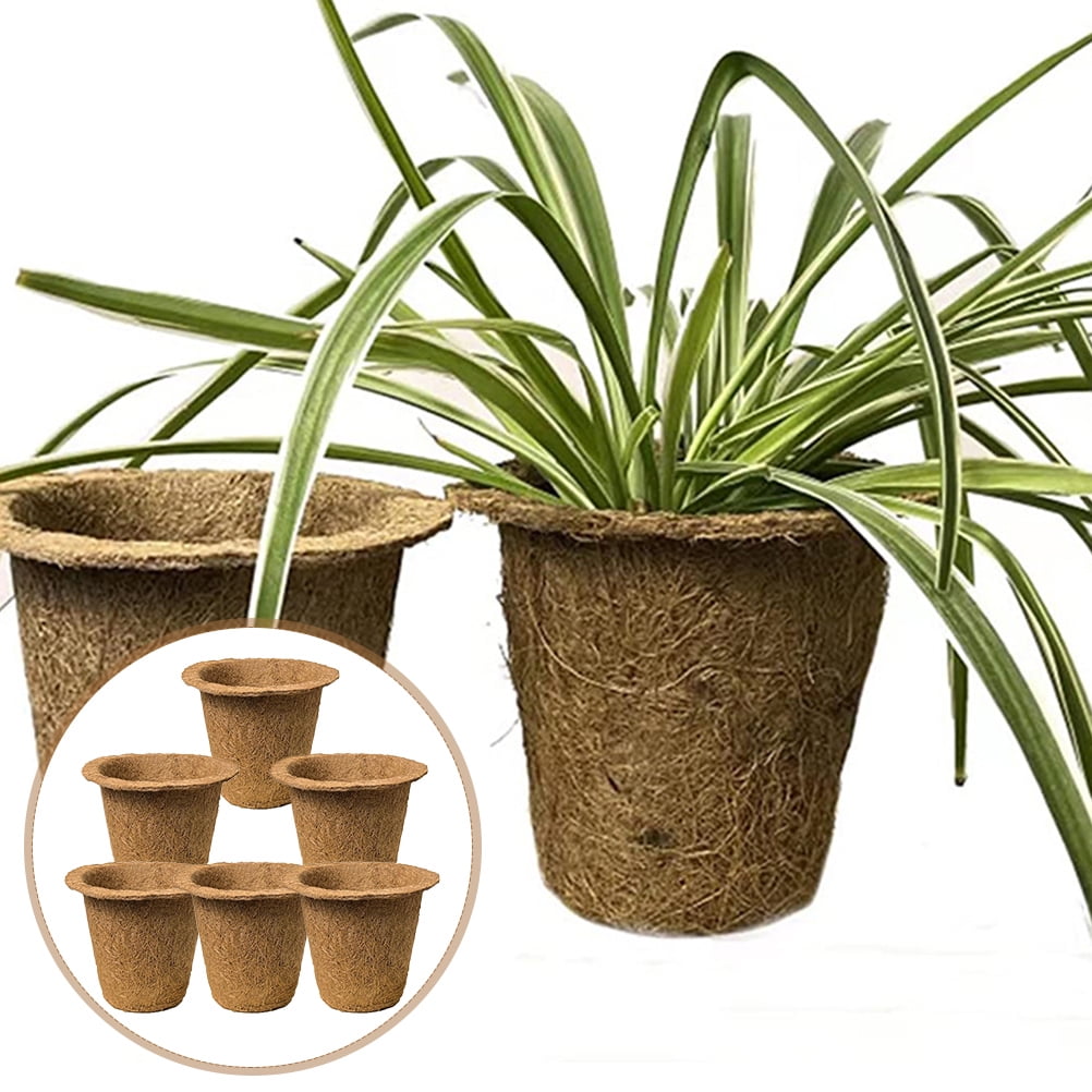 Stri Set of 6 flower pots for office plants - Walmart.com