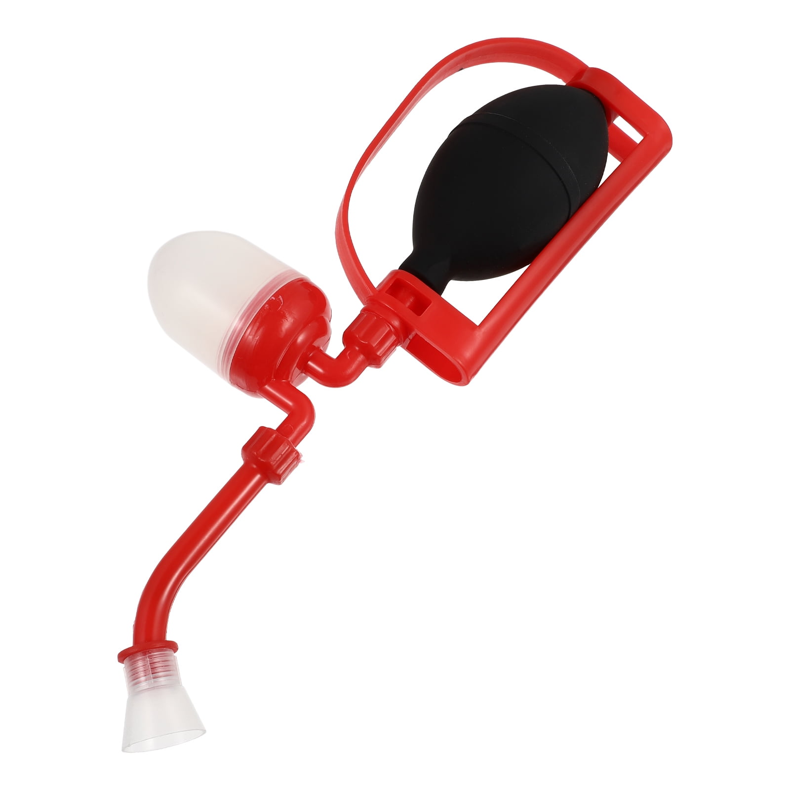 Stri Tomato Pollinator Tomato Peach Tree Kiwi Plant Fruit Flower ...