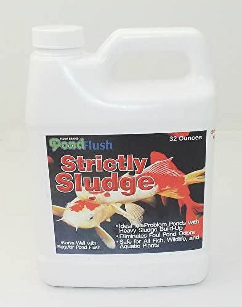 Strictly Sludge for Ponds - 1 Quart / 32 Ounces - Eliminates Bad Odors ...