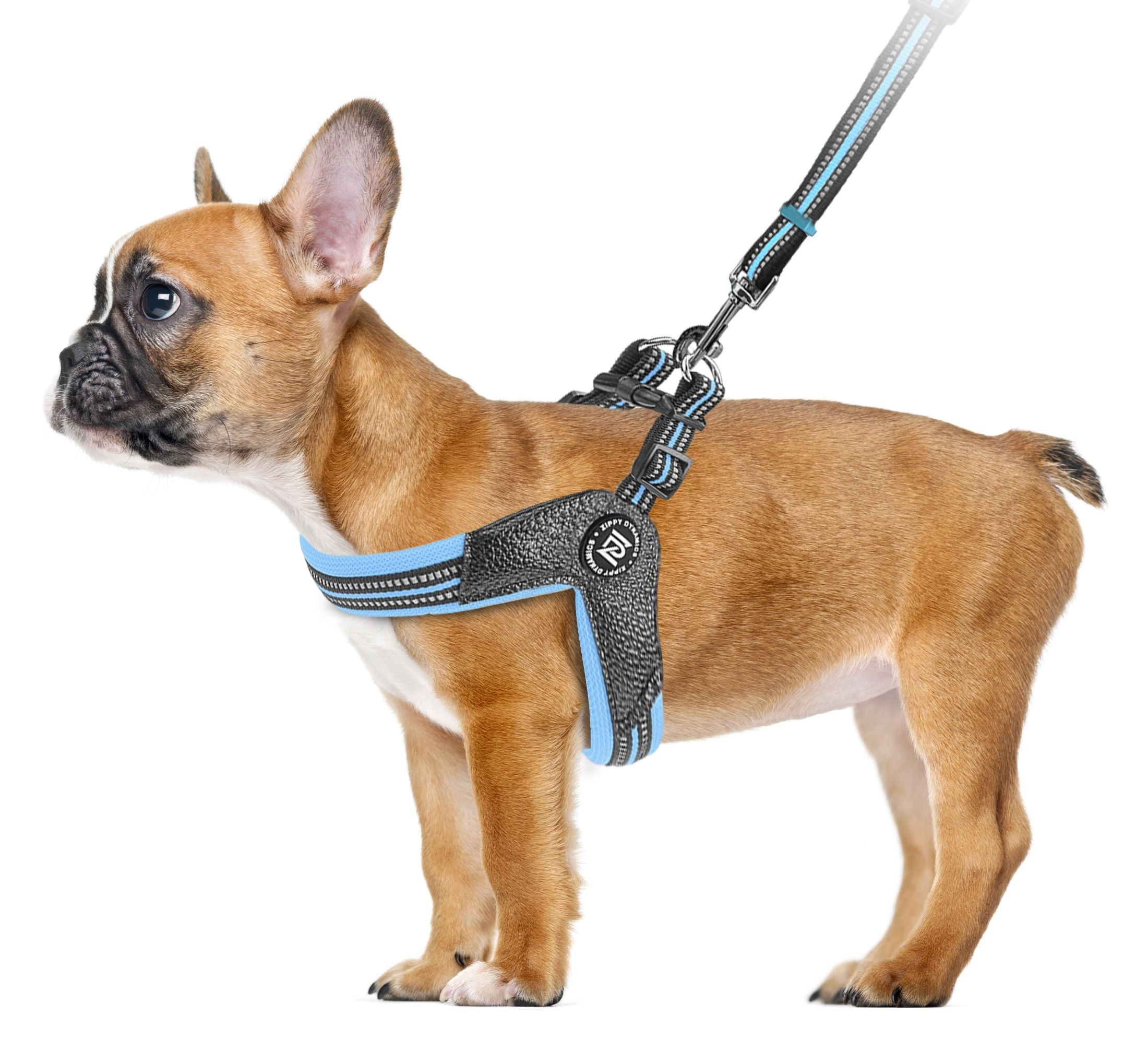 Stride. Dog Blue Step-In Adjustable Harness - Walmart.com
