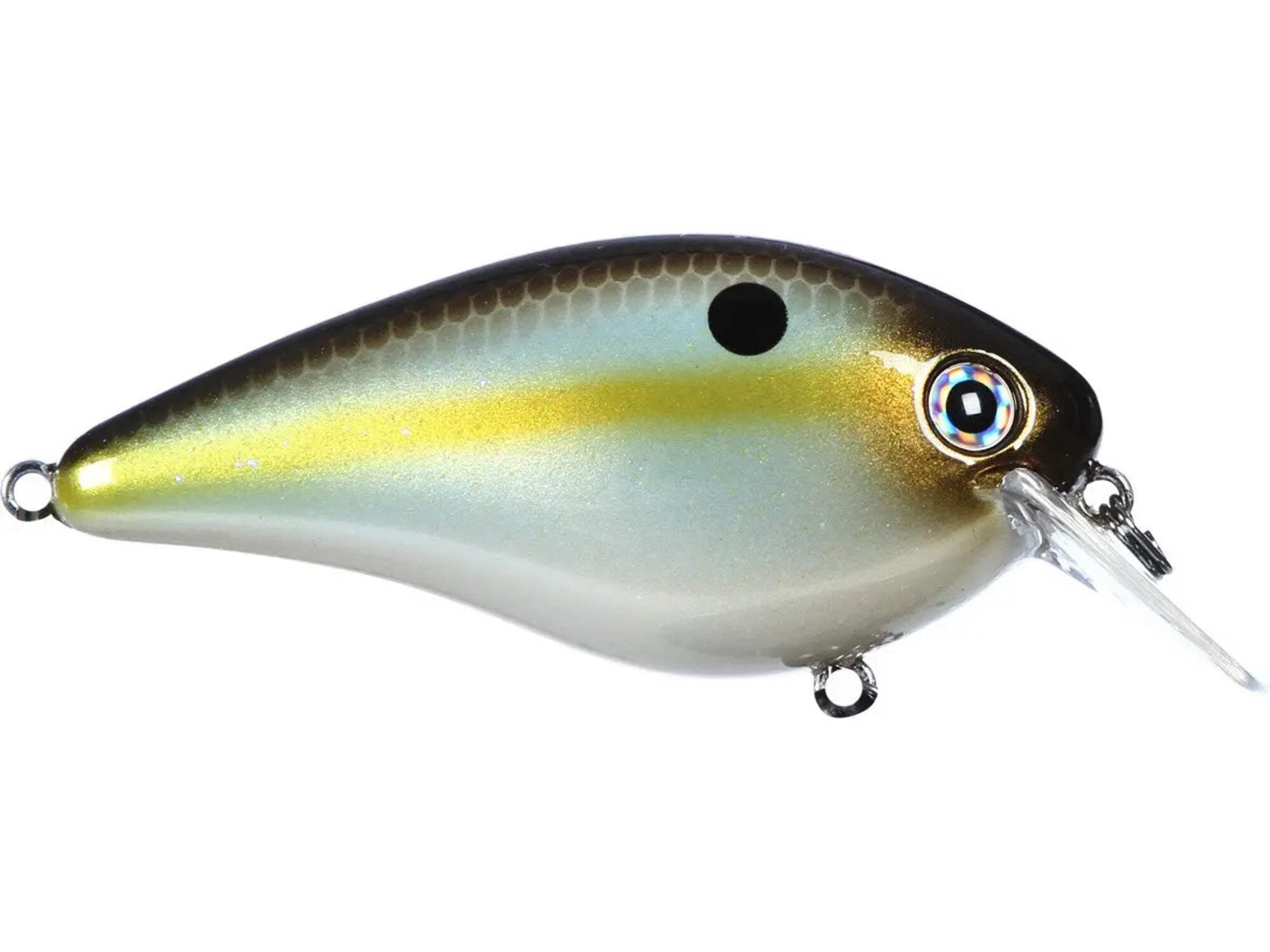Strike King KVD Square 2.5 Summer Sexy Shad - Walmart.com