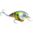 Strike King KVD Squarebill 1.5 Crankbait Neon Bluegill Hard Bait Lure ...