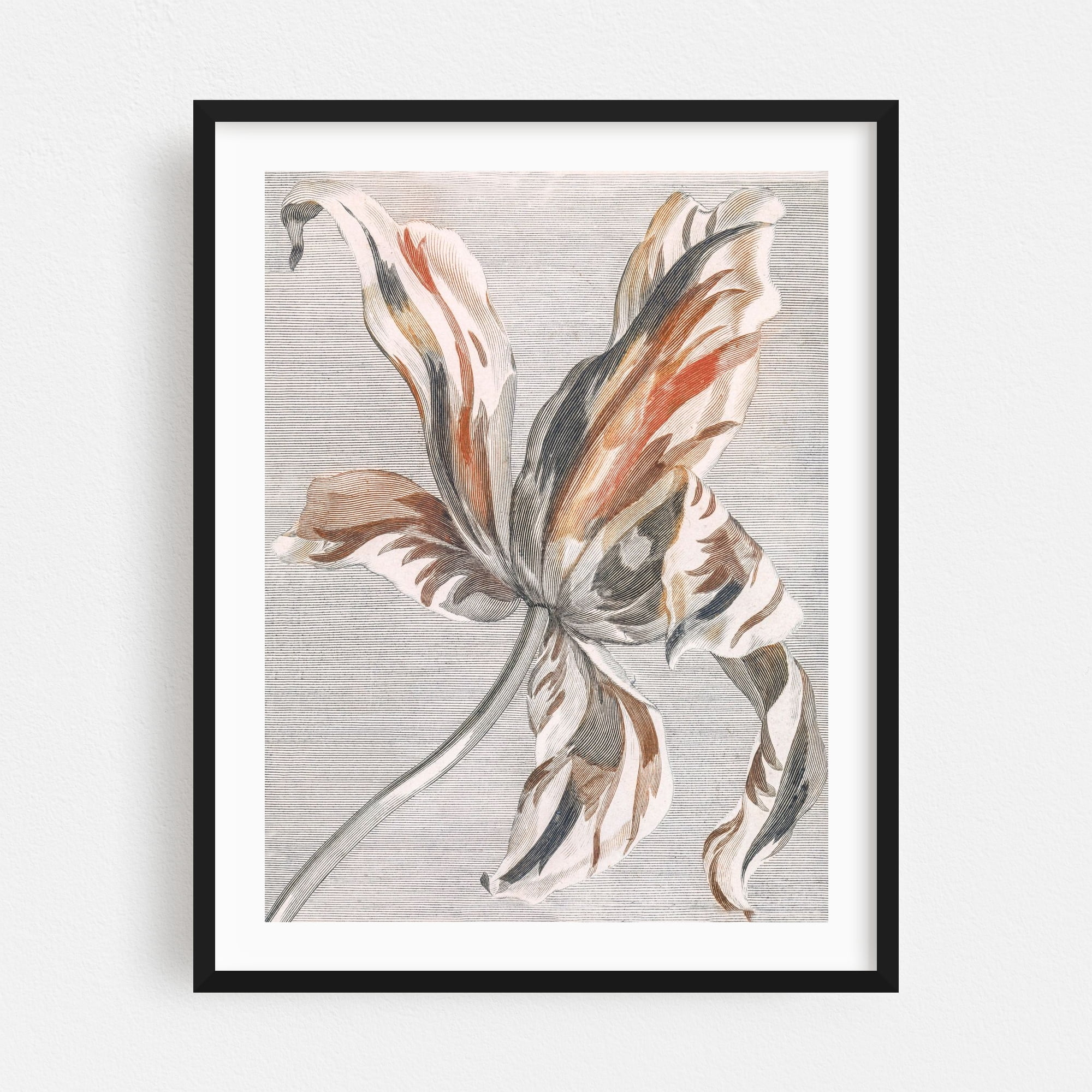 Striking Variegated Tulip Bloom in Detailed Engraving - Painting Floral ...