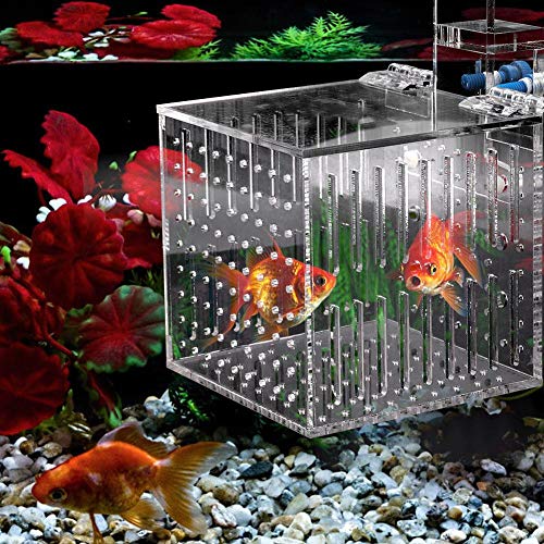 Strip Holes Design Adjustable Fishes Breeding Boxes, Aquarium Isolation ...