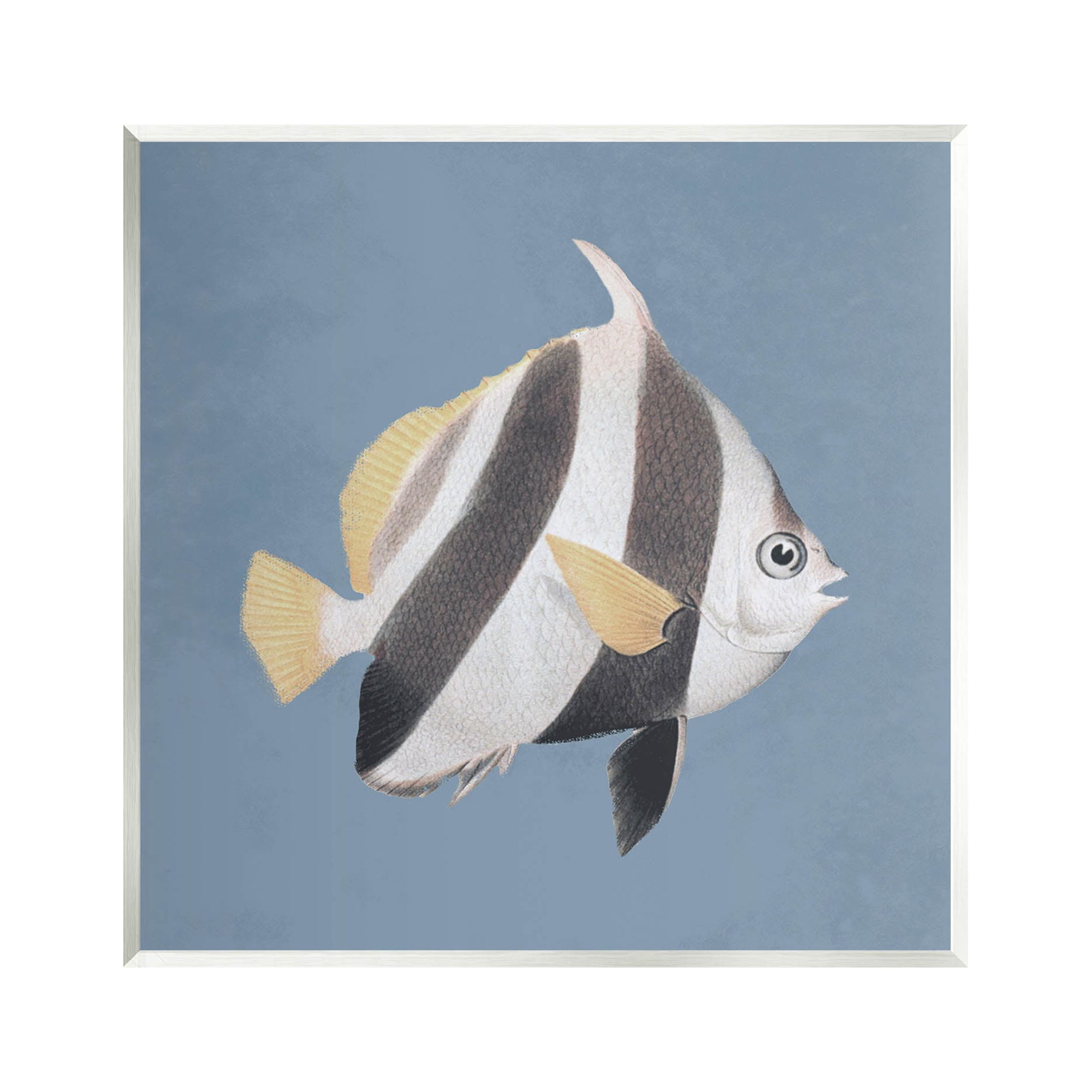 Striped Fish Marine Life Portrait Animals & Insects Graphic Art ...