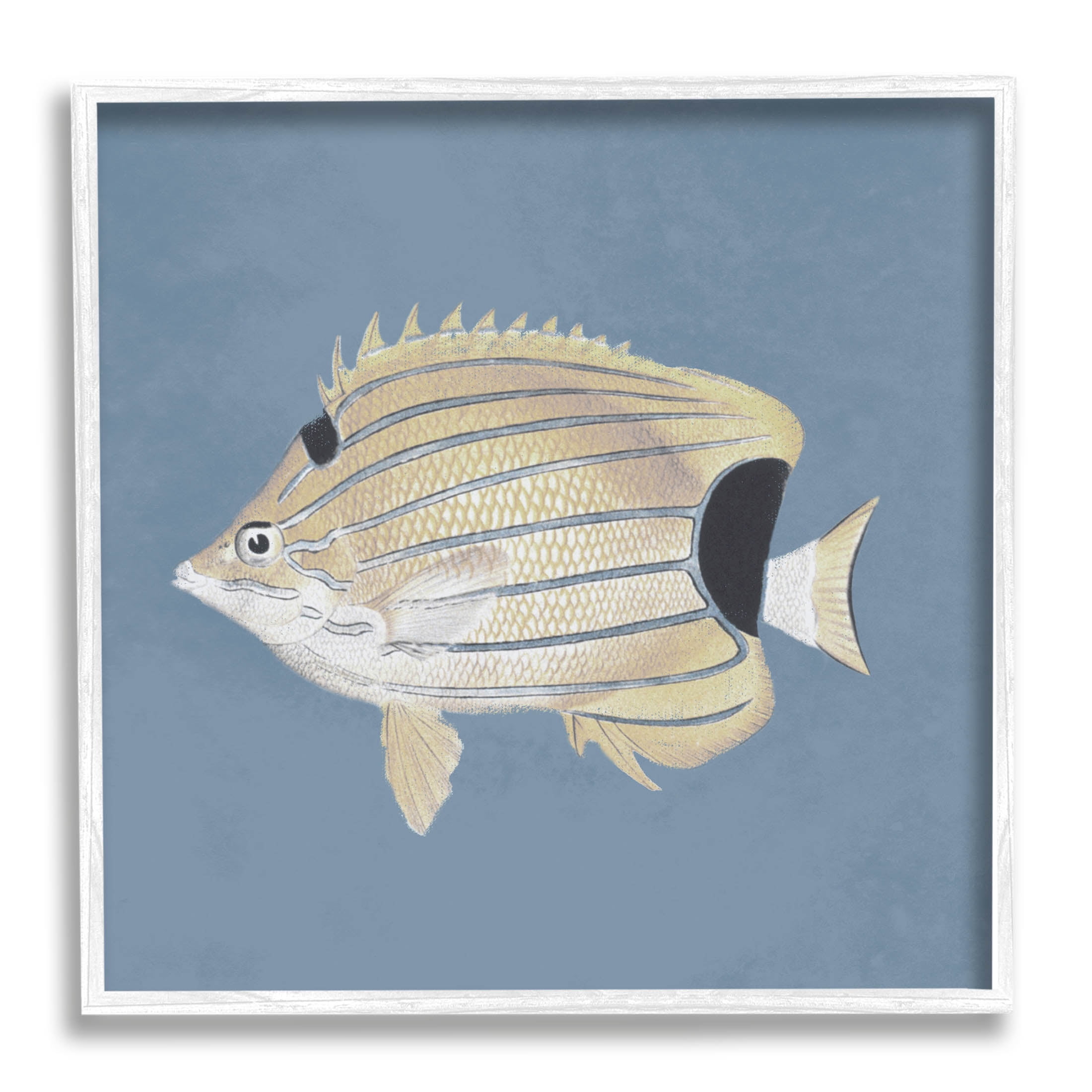 Piddix Striped Fish Portrait Wall Art - Blue - 17 x 17 - Walmart.com