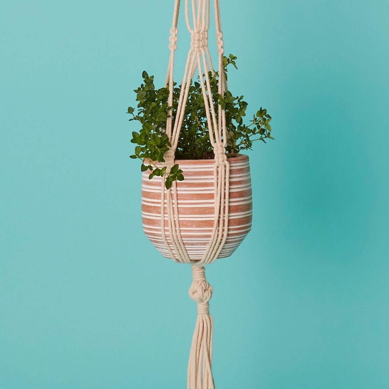 Striped Macrame Terracotta Hanging Pot - Walmart.com