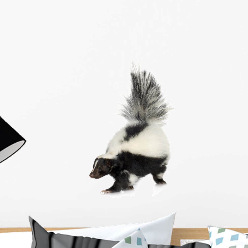 Striped Skunk Mephitis Mephitis Wall Decal Sticker by Wallmonkeys Vinyl ...