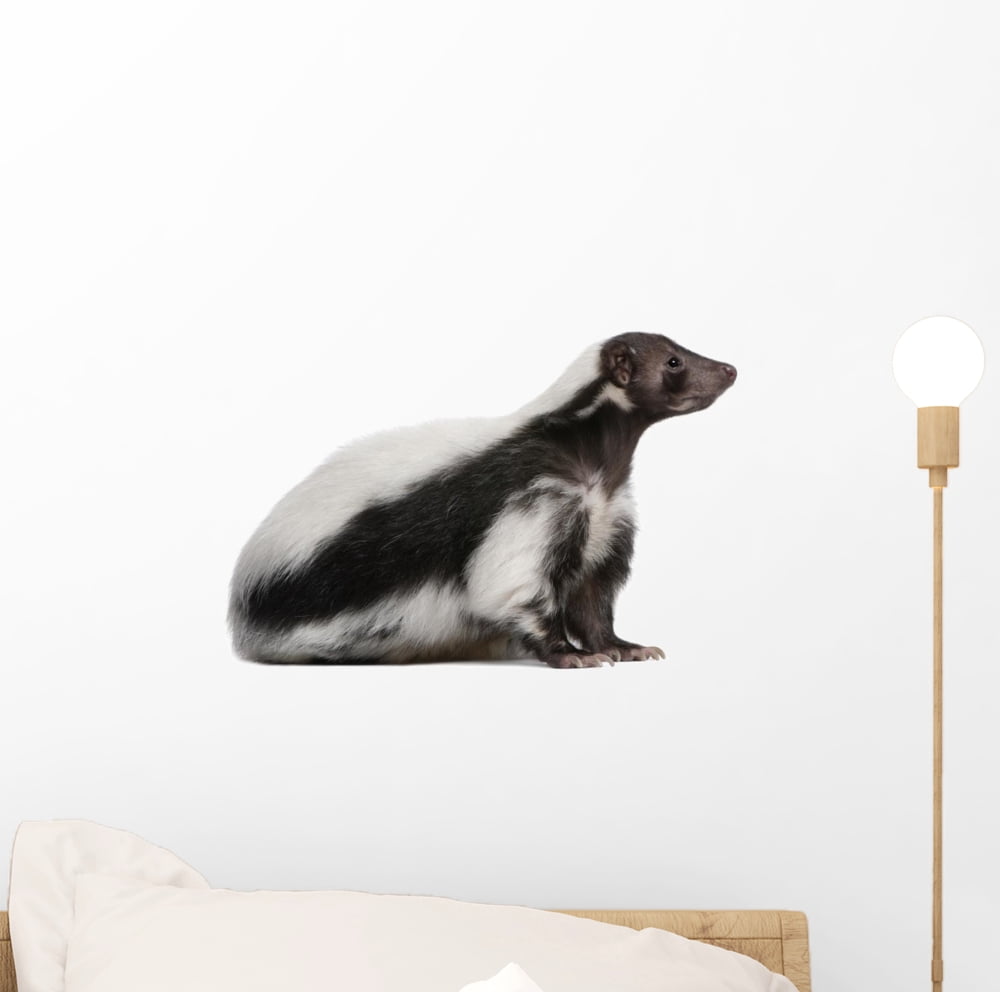 Striped Skunk Wall Decal Wallmonkeys Peel and Stick Animal Graphics (12 ...