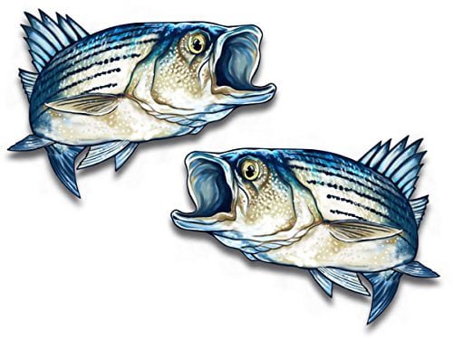 Striped bass Rock Fish Vinyl Decal 6"x 8" Set of 2 Right Left Facing ...